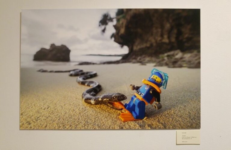 Samsofy : l'art de détourner les Lego | HappyCurio