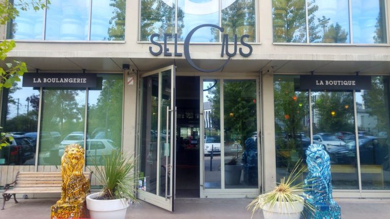 Le Selcius, meilleur brunch à volonté de Lyon | HappyCurio