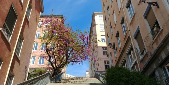 Balade panoramique dans les pentes de la Croix-Rousse